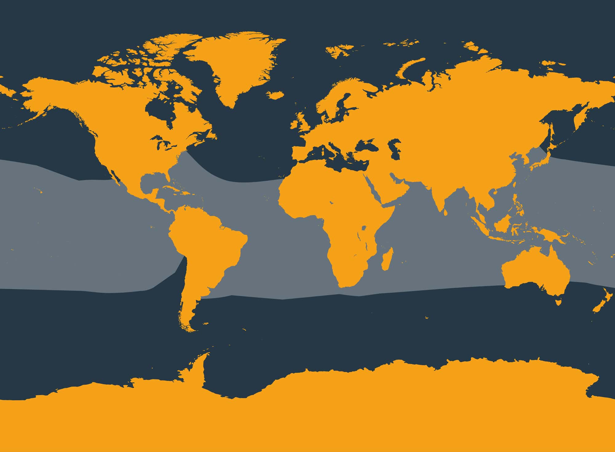 Pantropical spotted dolphin - Whale and Dolphin Conservation