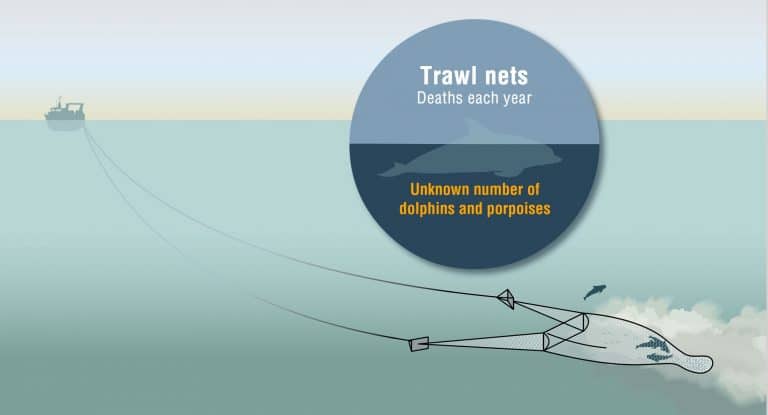 Prevent deaths in nets - Whale and Dolphin Conservation
