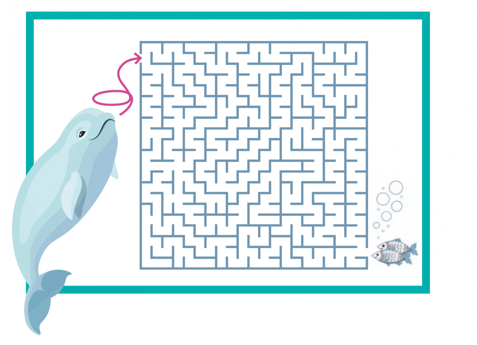 How we help whales and dolphins - Whale and Dolphin Conservation