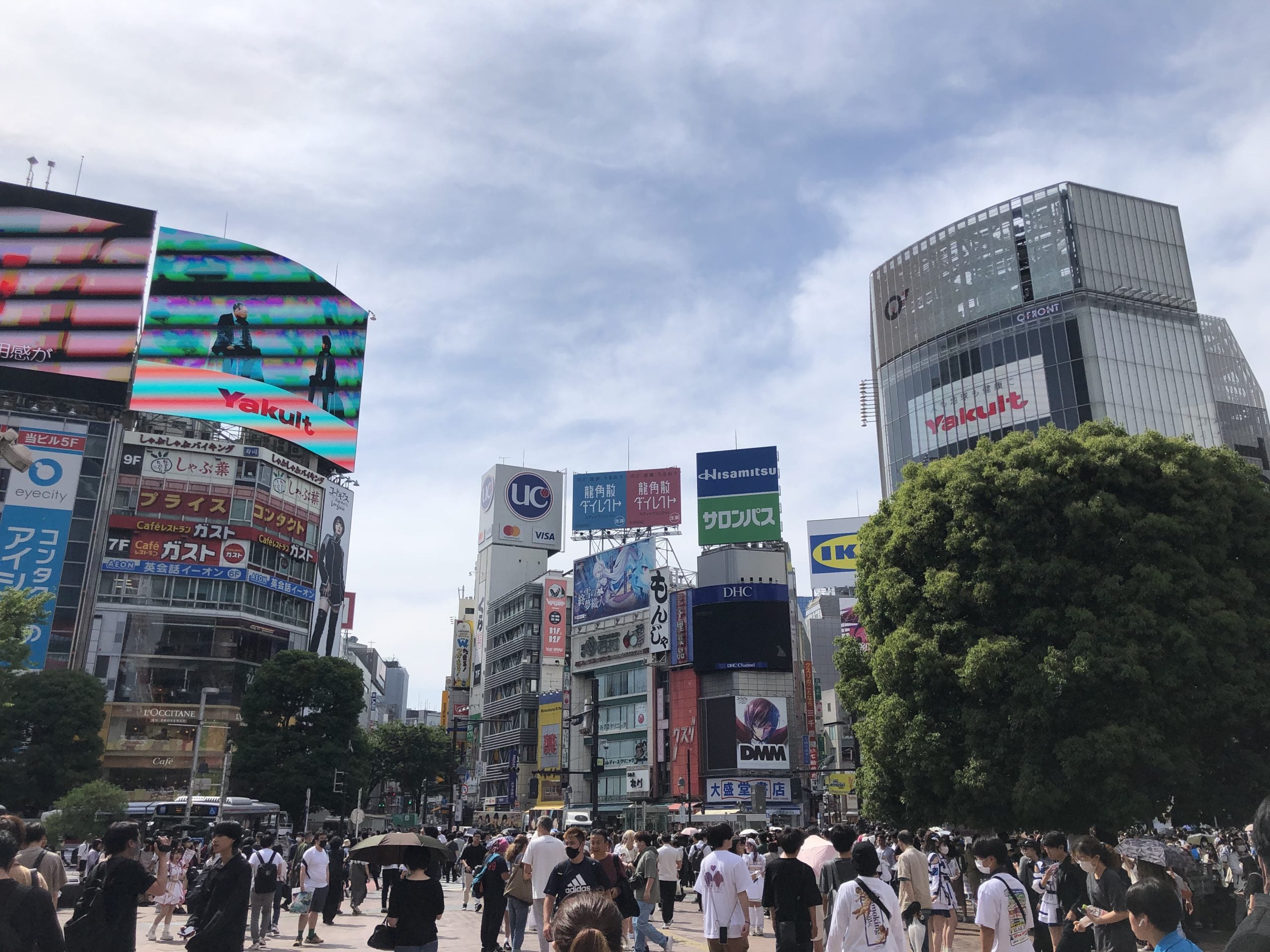 WDC in Japan – Part 1: Finding allies in Tokyo - Whale and Dolphin ...
