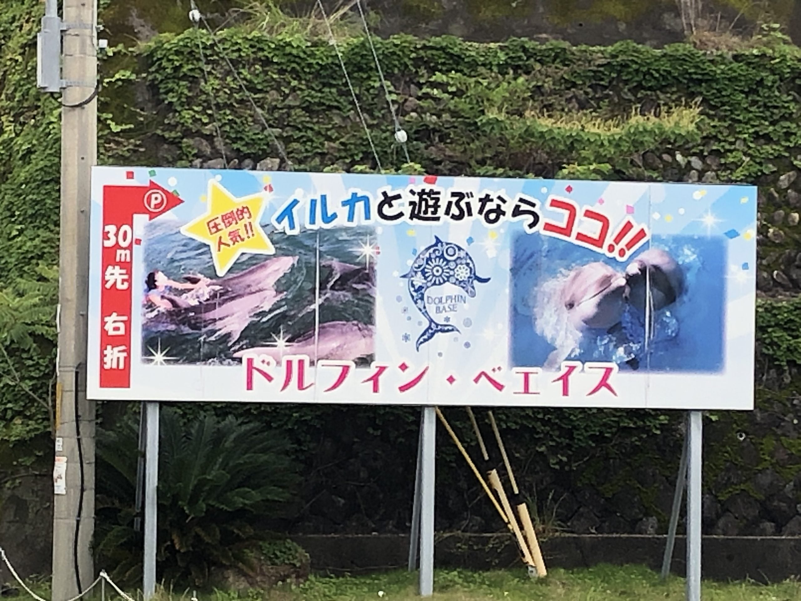 WDC in Japan - Part 4: A journey to Taiji's killing cove - Whale and ...