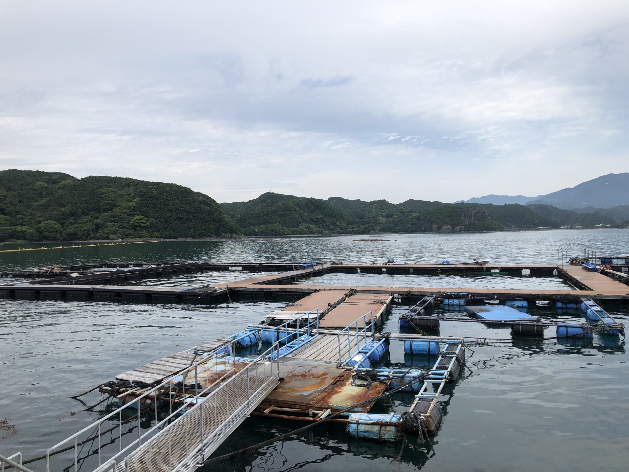 WDC in Japan - Part 4: A journey to Taiji's killing cove - Whale ...