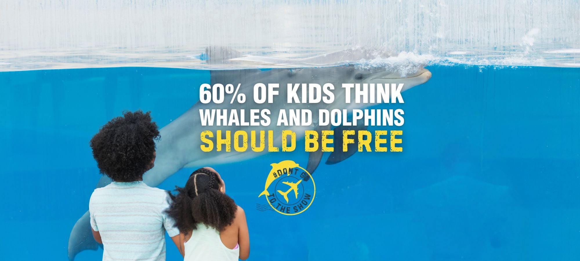 How children will help end captivity - Whale and Dolphin Conservation