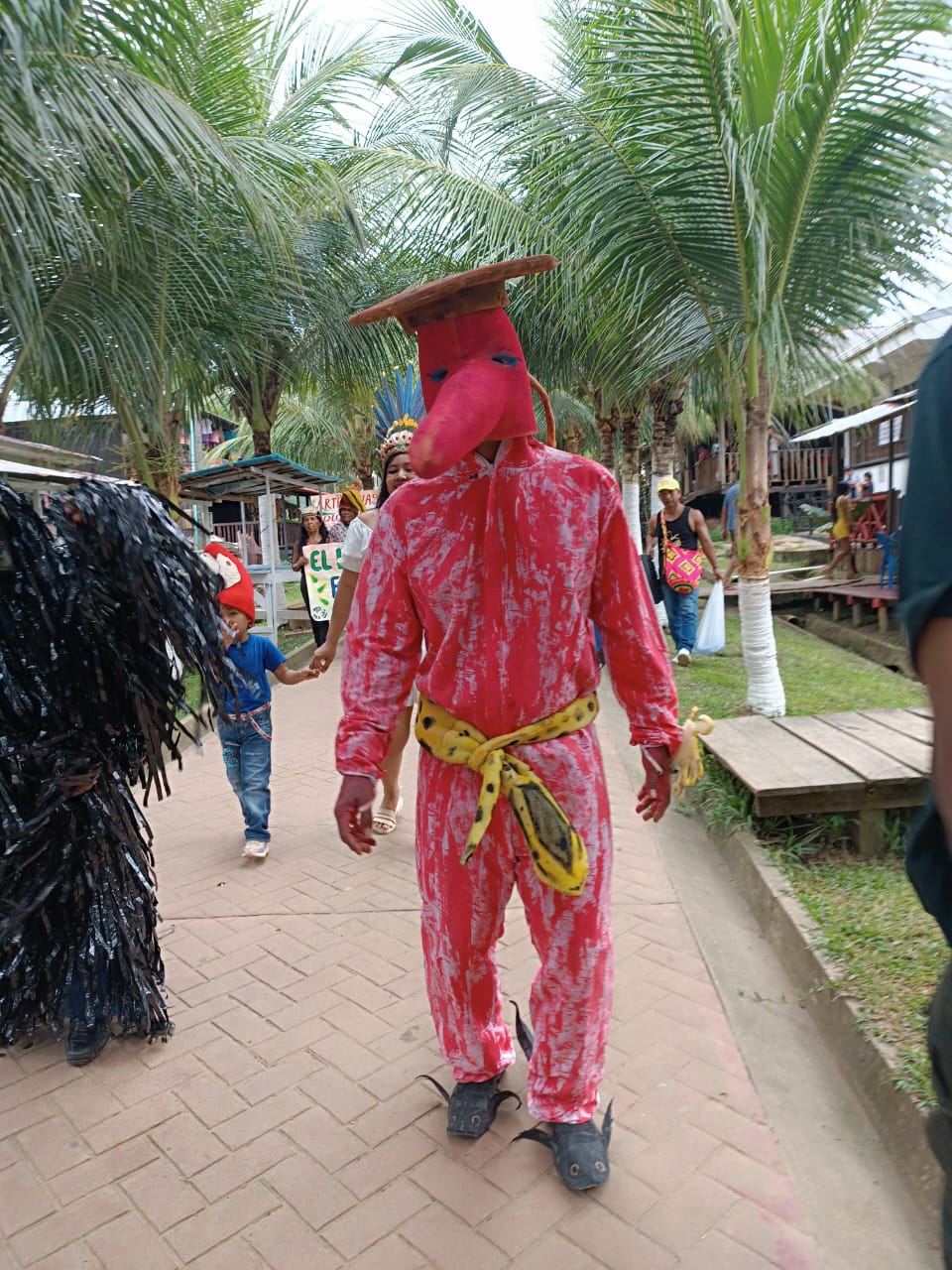 Natutama’s work to protect river dolphins in the Amazon - Whale and ...