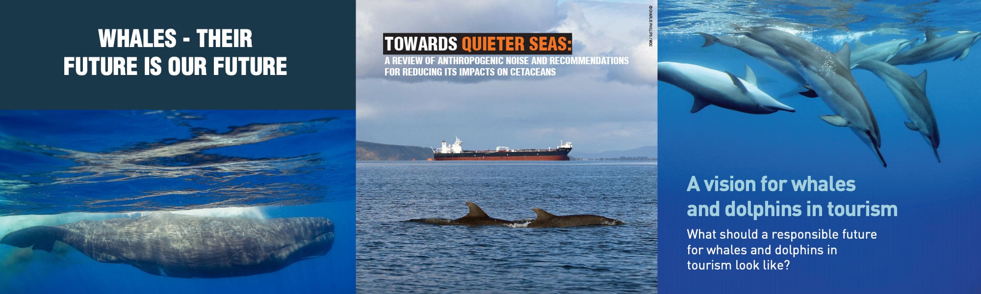 WDC Publications and Reports - Whale and Dolphin Conservation