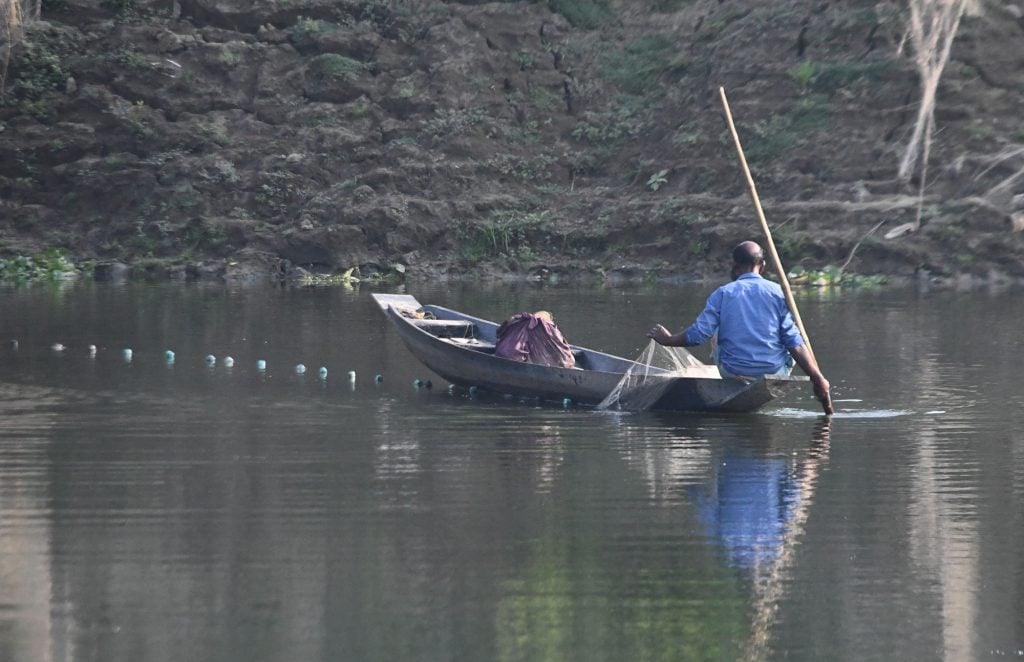 Ganges River dolphin - Bangladesh - Whale and Dolphin Conservation